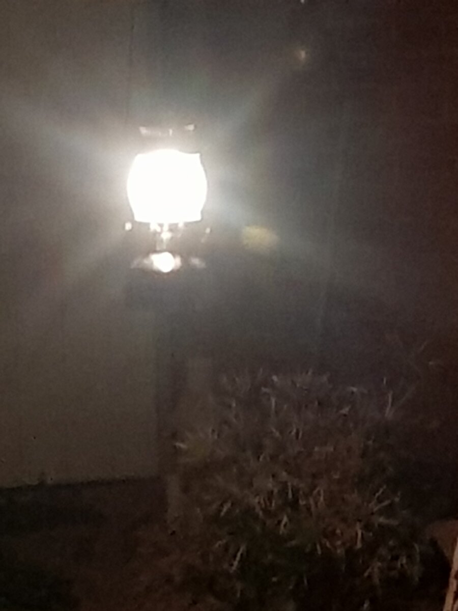 H.C. Lanterns “Firefly” Lamp | Classic Pressure Lamps & Heaters